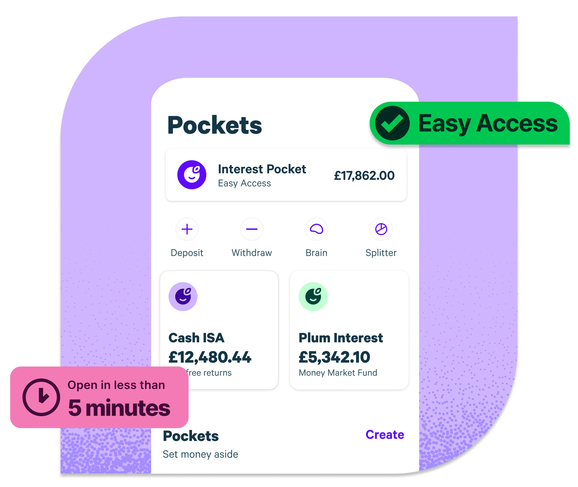 Easy Access Savings Pocket | Plum